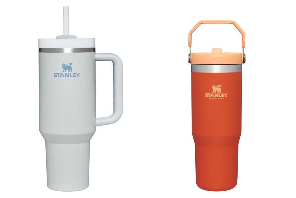 Stanley Cups: Iconic Moments & Innovative Alternatives