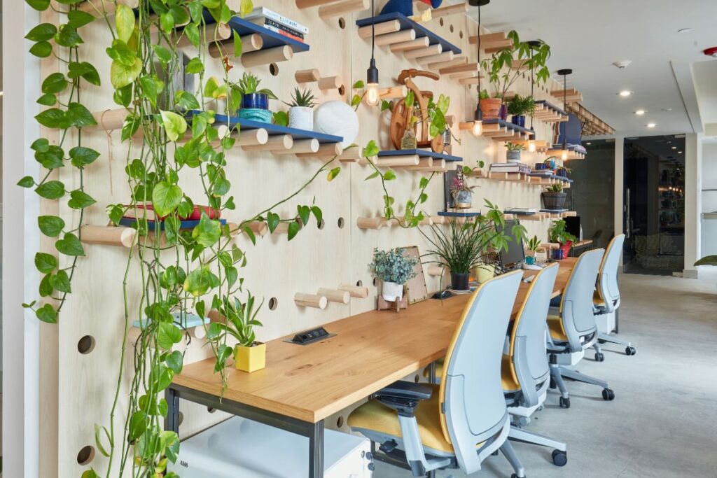 Wellness Gift Ideas for Employees: Boost Morale and Productivity