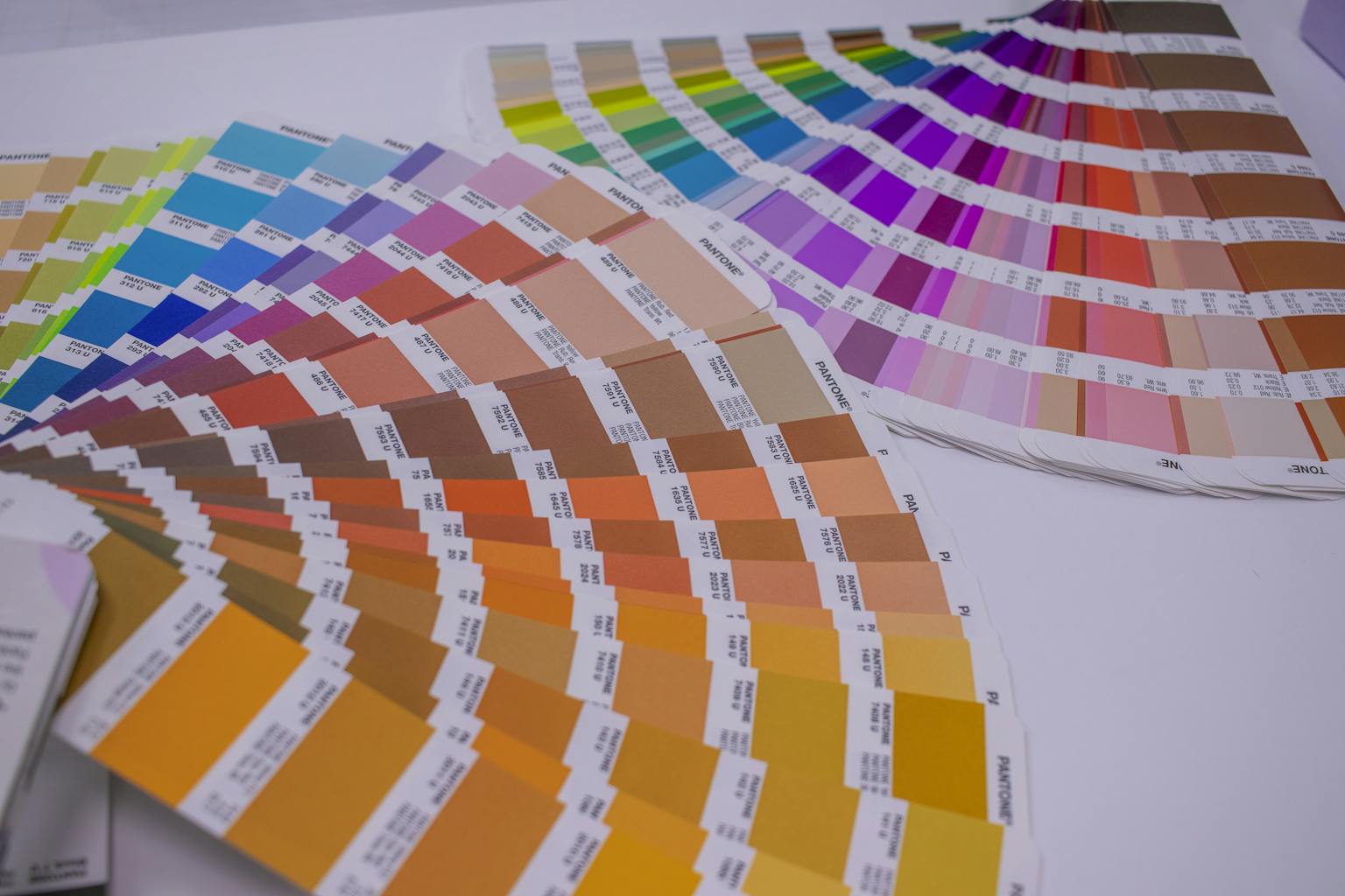 What Does PMS Color Stand For: A Guide to Pantone Matching System