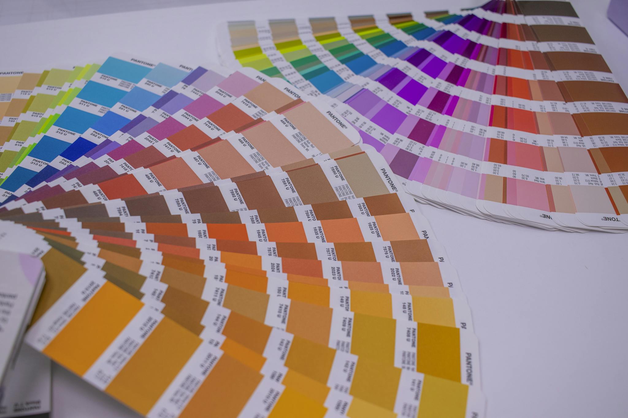 What Does PMS Color Stand For: A Guide to Pantone Matching System