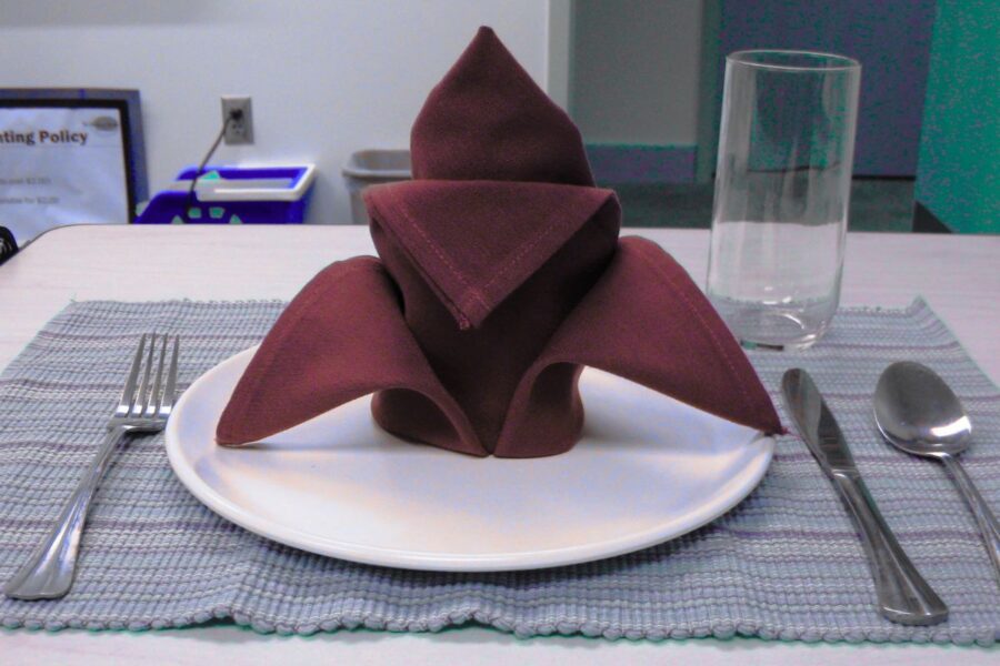 Top 10 Best Custom Napkins Folding Ideas for Any Party